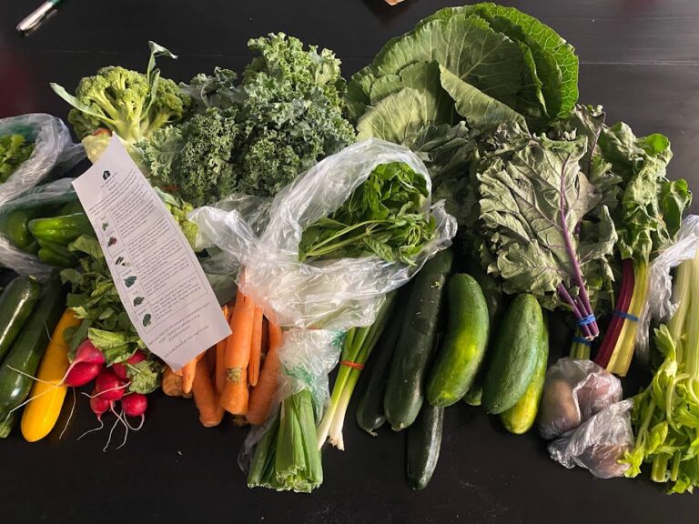 Campus Kitchen | Augsburg University