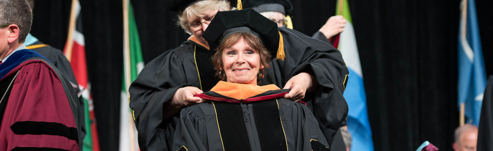 DNP Program in Minnesota