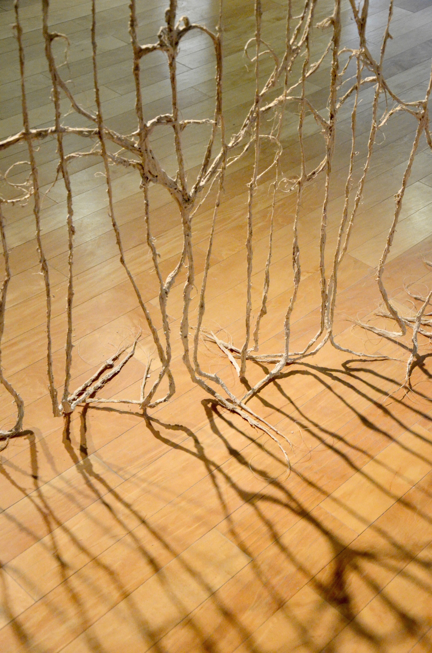 BOWING by Kate Roberts - Art Galleries | Augsburg University