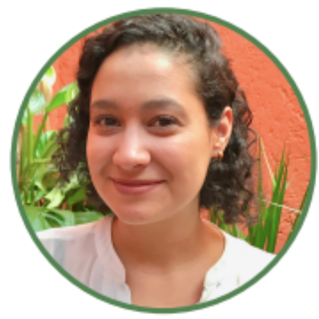 Using an Ecopedagogy Approach to Achieve Praxis through Experiential ...