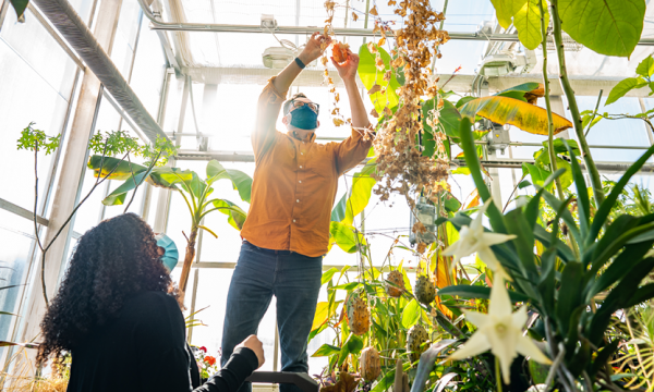 How a Minnesota greenhouse acquired a diverse plant collection from ...