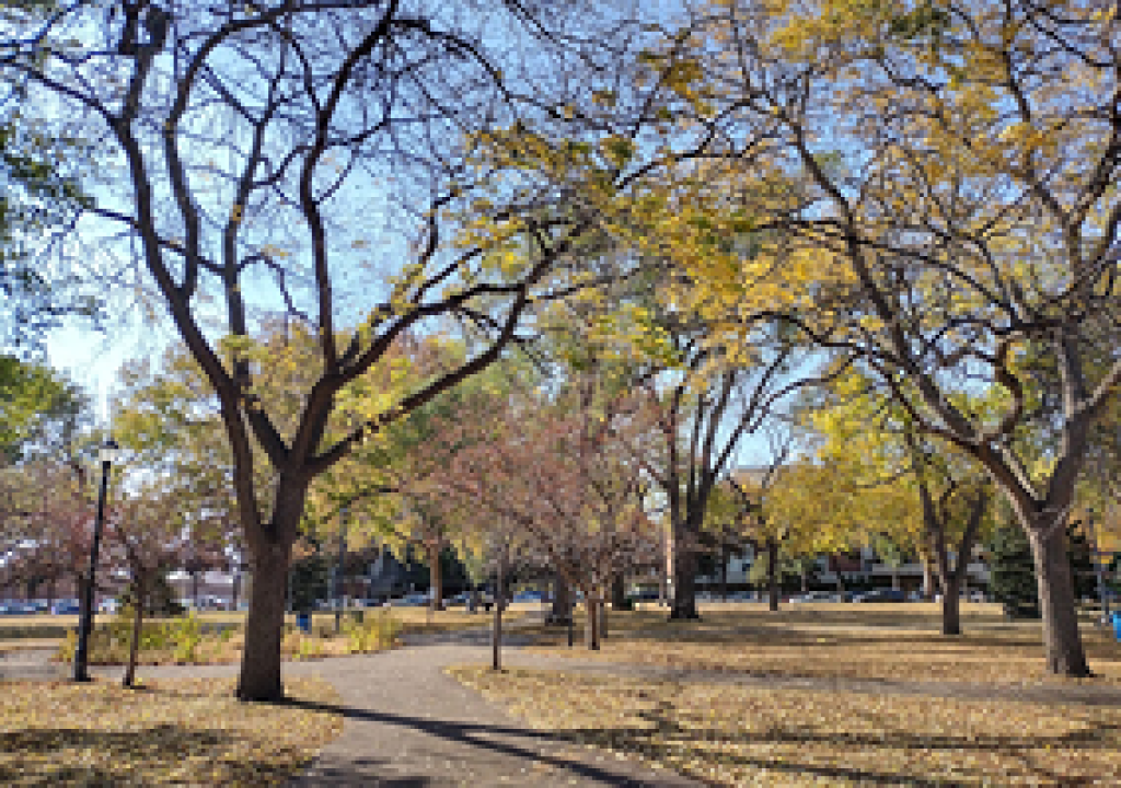 What’s your favorite spot on campus? - Augsburg Now