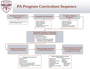 Courses - Master of Science in Physician Assistant Studies | Augsburg University