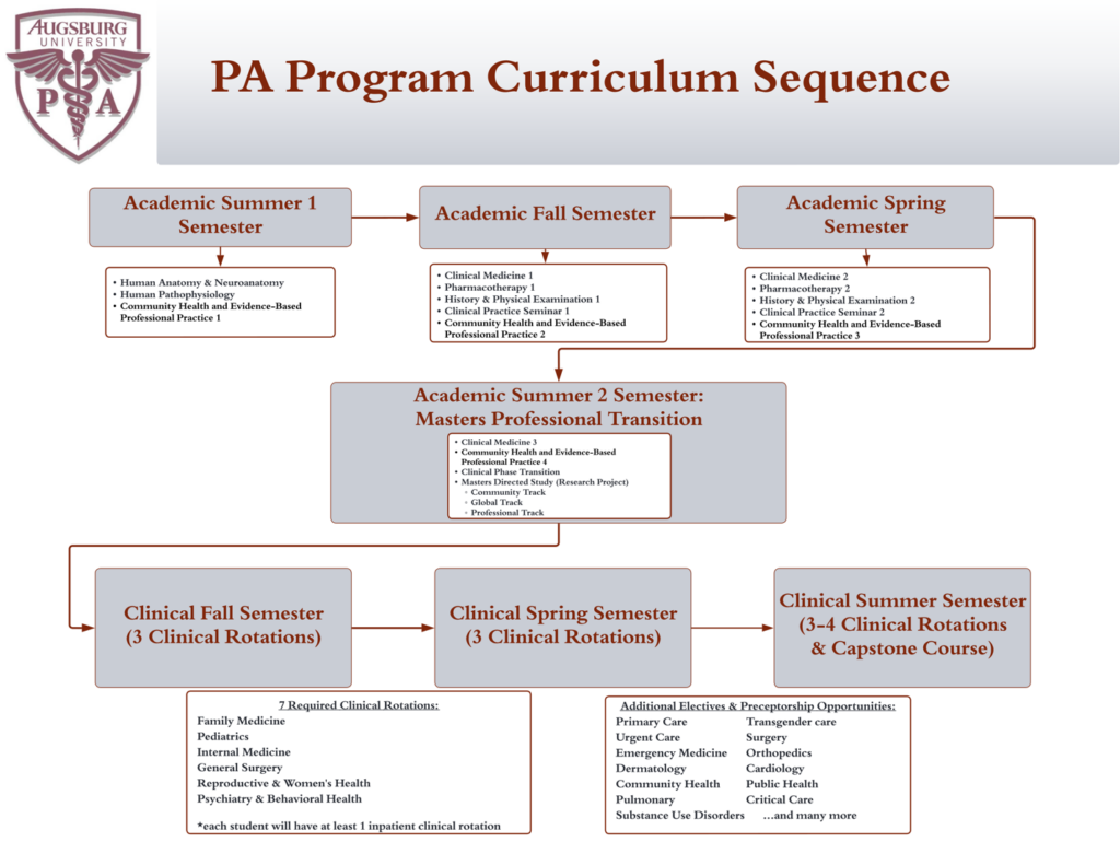 Curriculum - Master of Science in Physician Assistant Studies | Augsburg University
